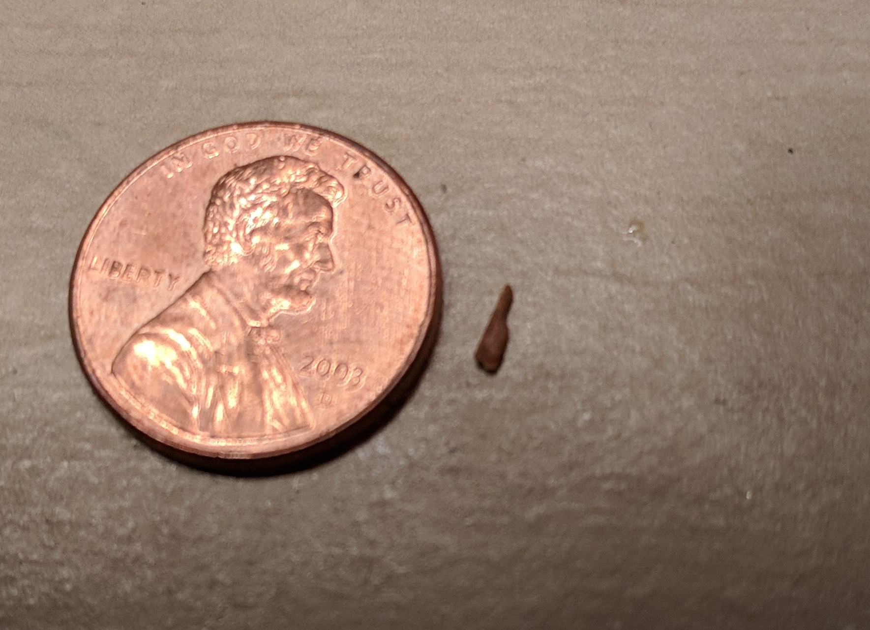 A Tiny Splinter – Tina Watkins Quaye